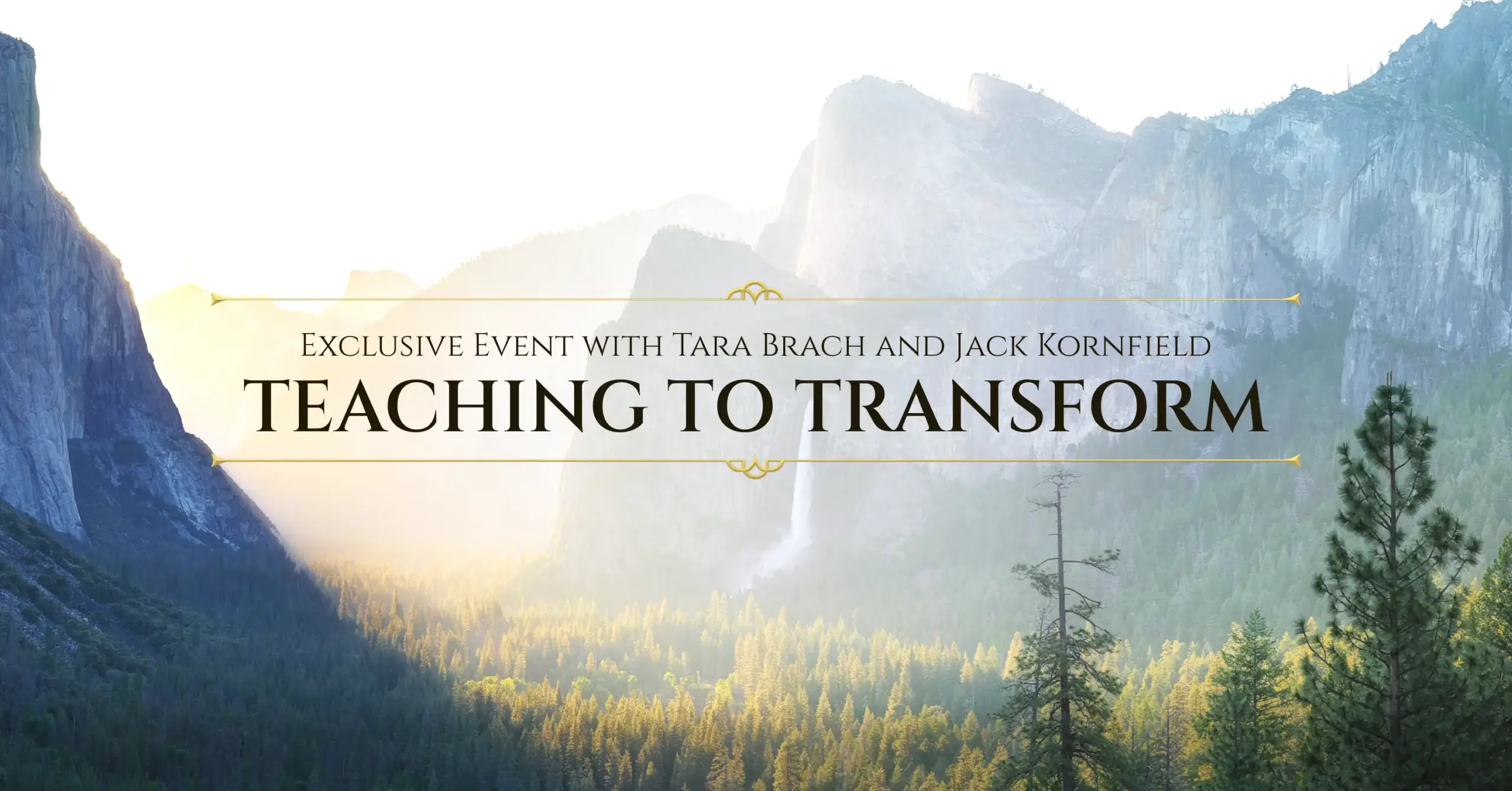 Teaching to Transform - Opt-in